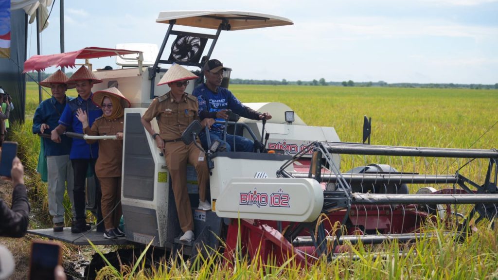 Bupati Mesuji Elfianah Pimpin Panen Raya Sebagai Bagian Dari Kegiatan Panen Raya Padi Serentak ...